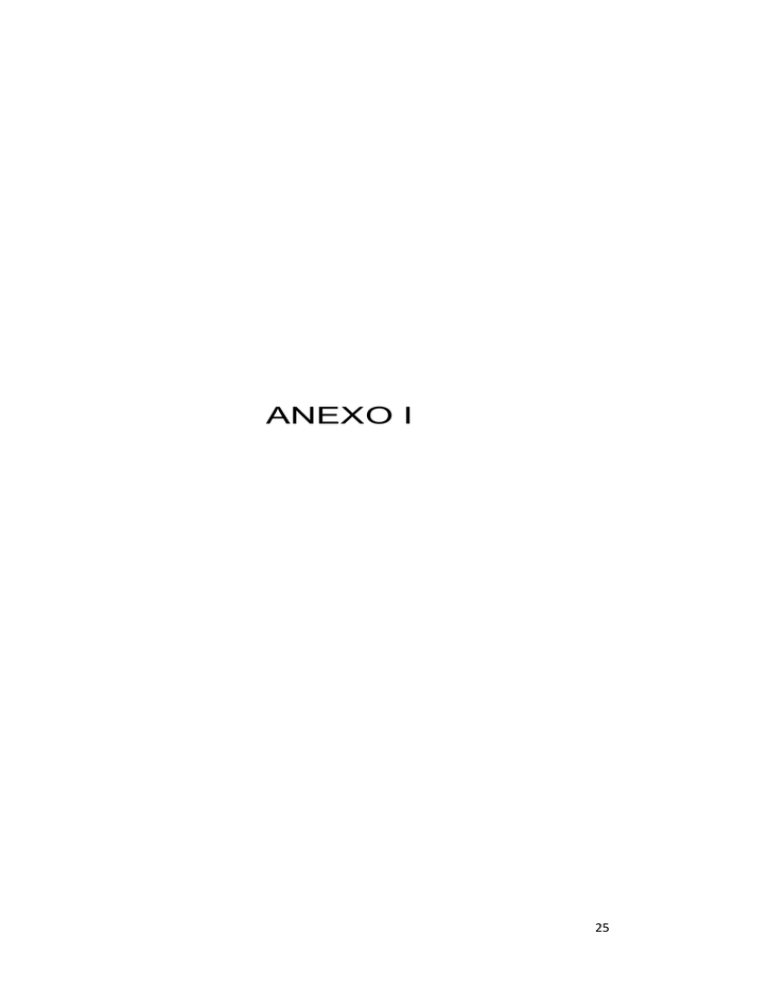 anexos pdf.pdf