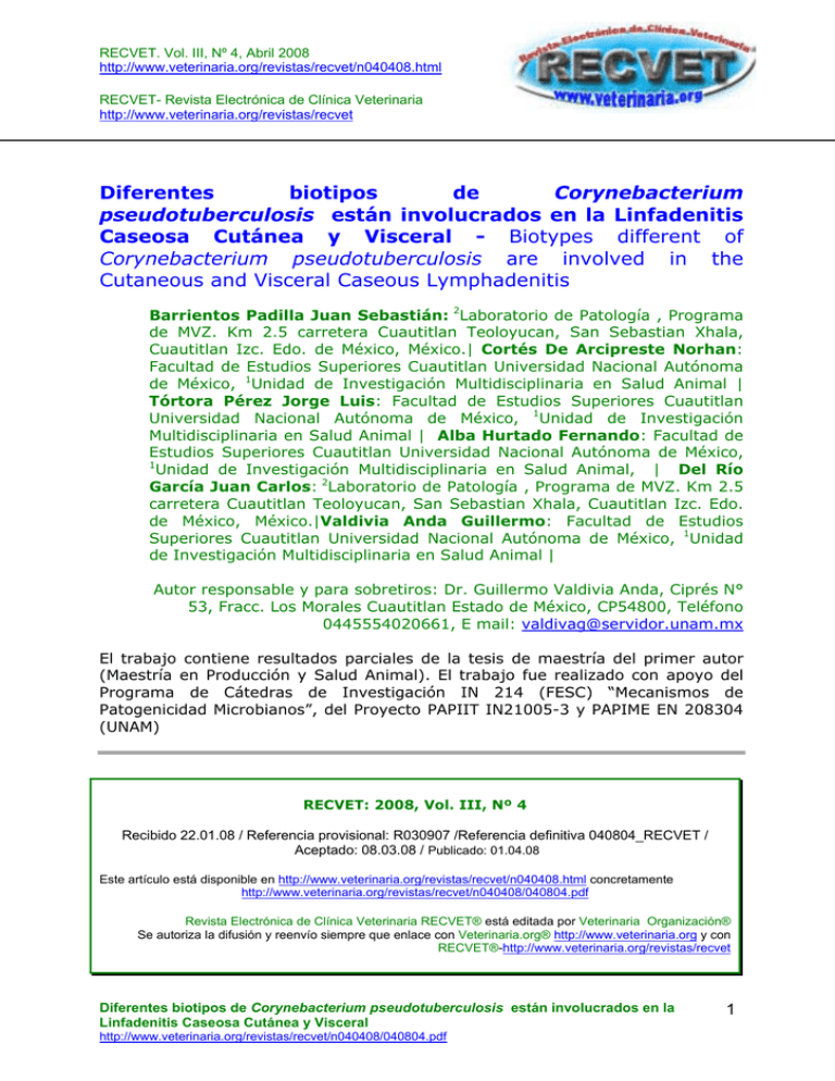 Corynebacterium Caseosa Cutánea y Visceral - pseudotuberculosis
