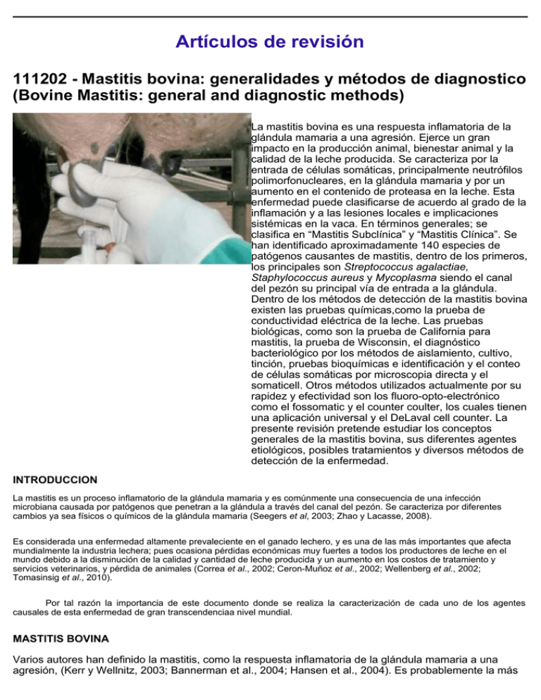 prueba-articulo4458.pdf