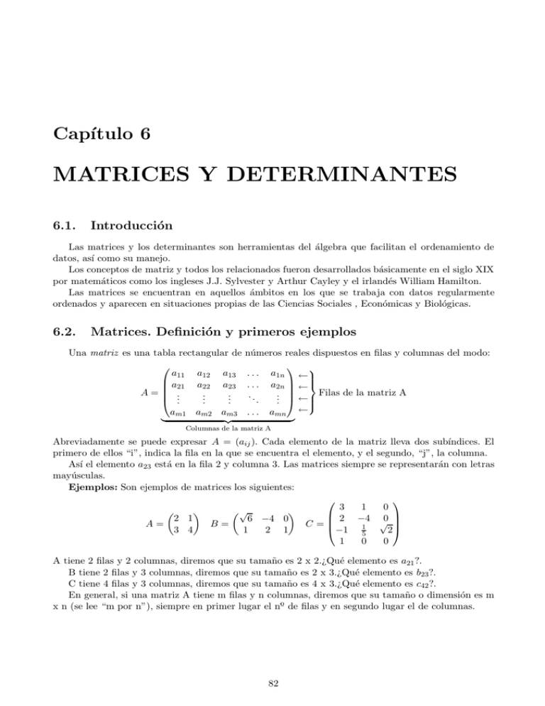 Matrices_Determinantes