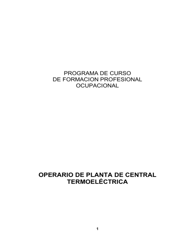 OPERARIO DE PLANTA DE CENTRAL TERMOELÉCTRICA