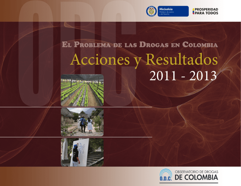 El problema de las Drogas en Colombia. Acciones y Resultados