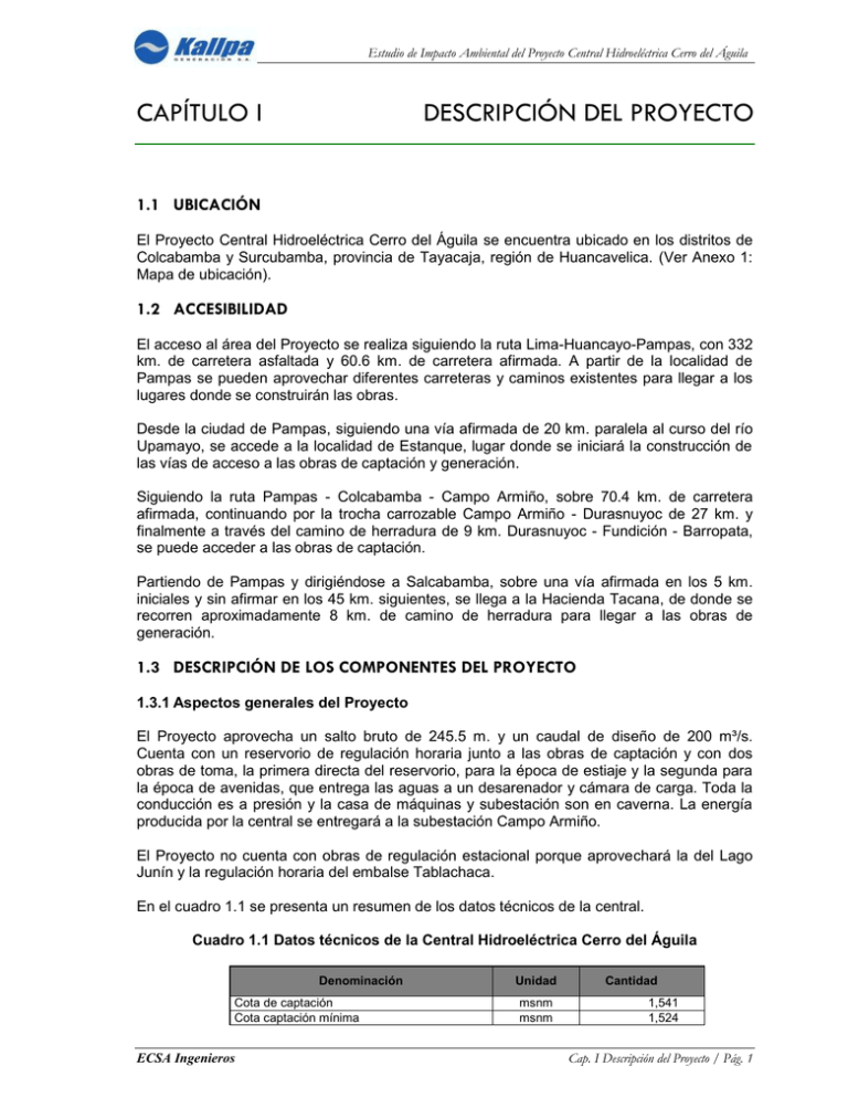 capítulo i descripción del proyecto