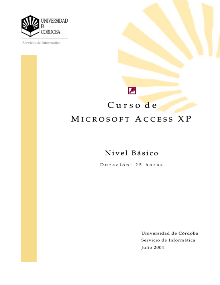 Manual de Microsoft Access XP - nivel básico