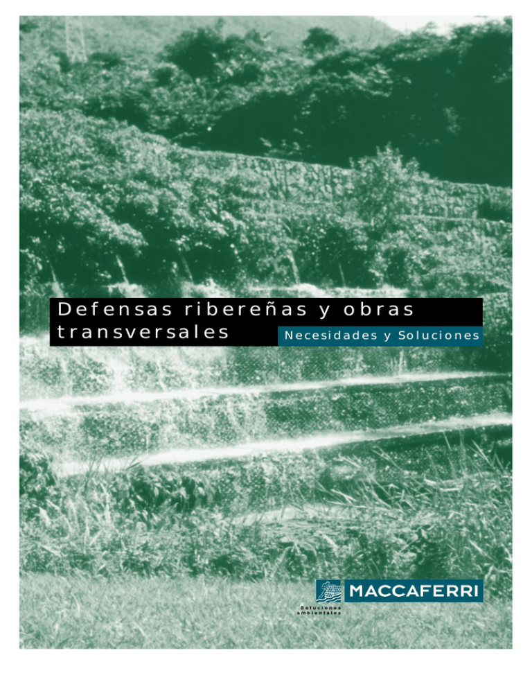 Defensas ribereñas y obras transversales