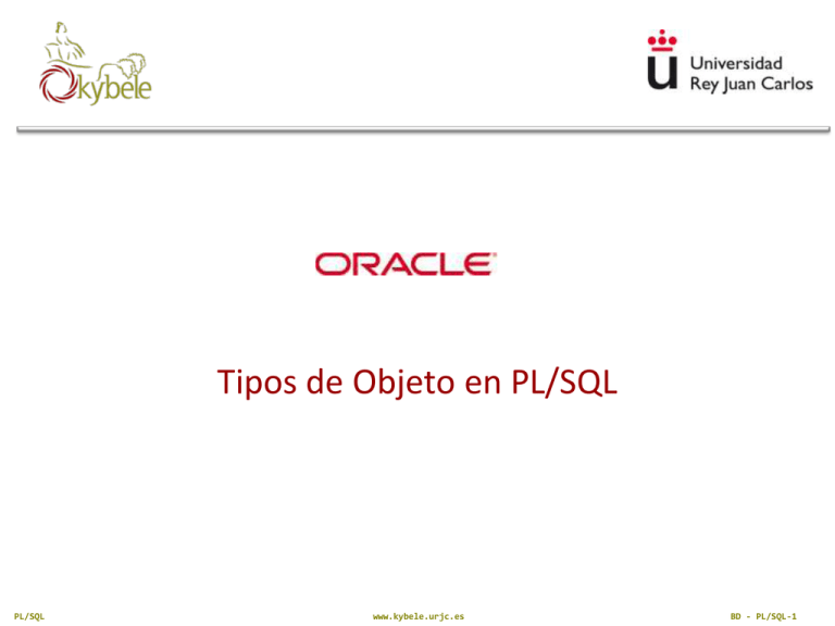 Tipos de Objeto en PL/SQL