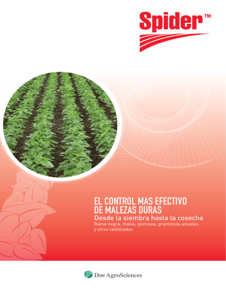 EL CONTROL MAS EFECTIVO DE MALEZAS DURAS