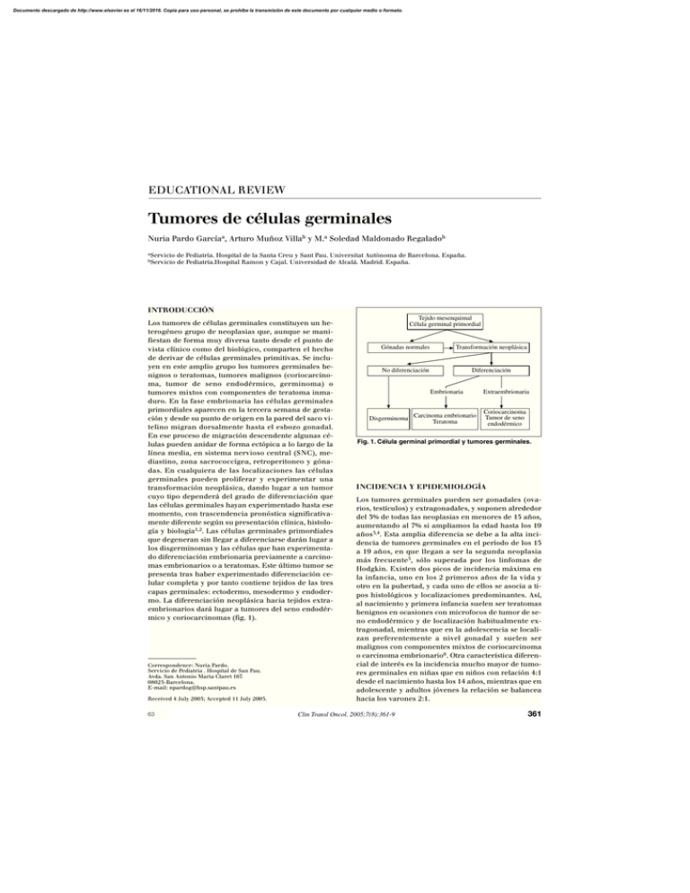 Tumores de células germinales