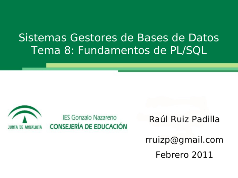 Presentación: Introducción a PL/SQL