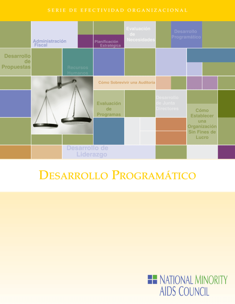 desarrollo programático