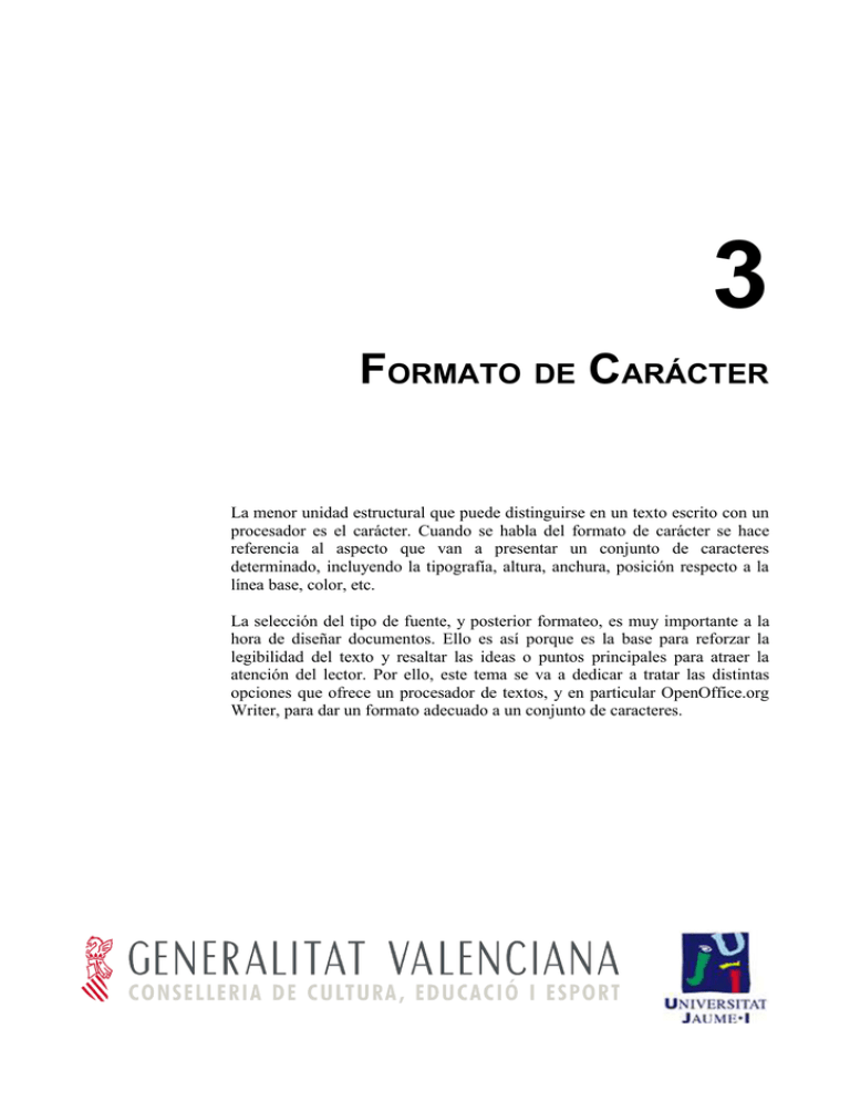 FORMATO DE CARÁCTER