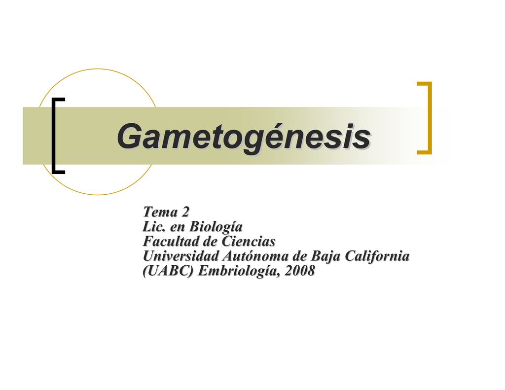 Gametogénesis