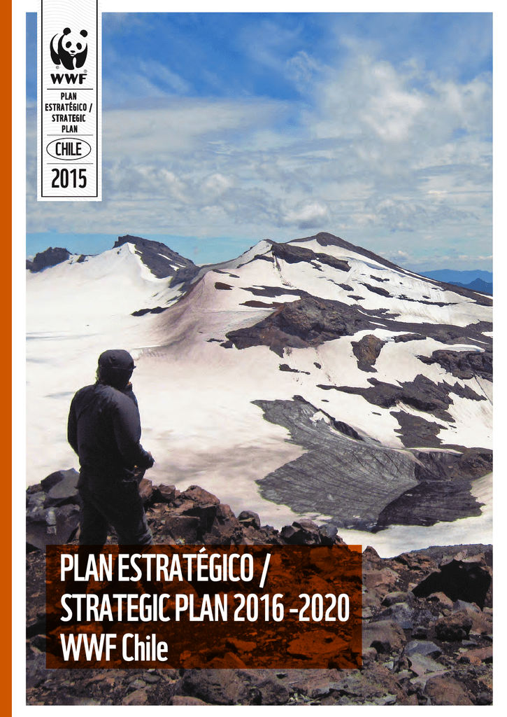 PLAN ESTRATÉGICO / STRATEGIC PLAN 2016