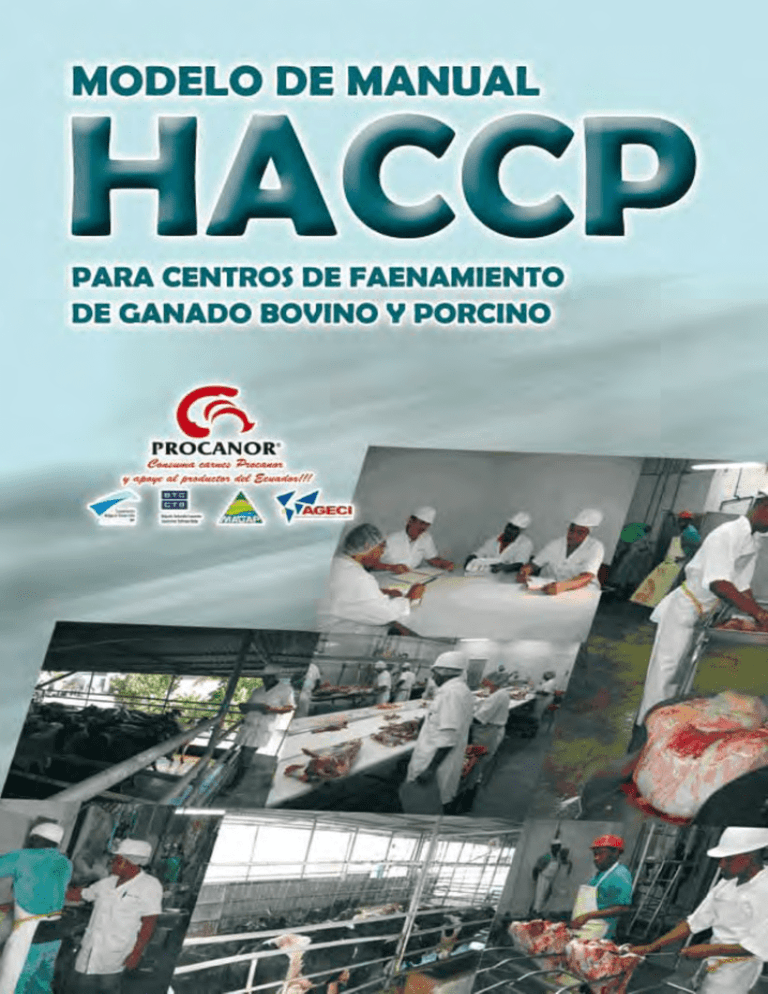 MANUAL DE ANALISIS DE RIESGOS Y PUNTOS