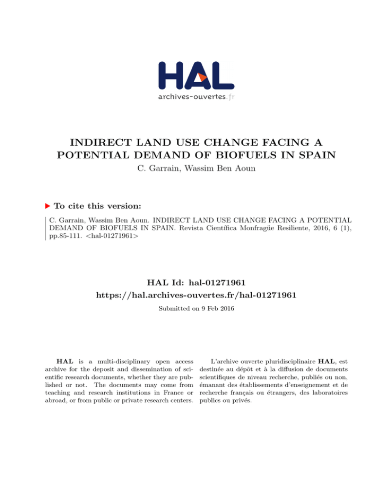indirect land use change facing a potential demand of biofuels