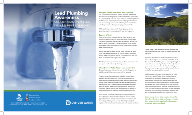 Lead Awareness Brochure in English and Spanish Espanol with