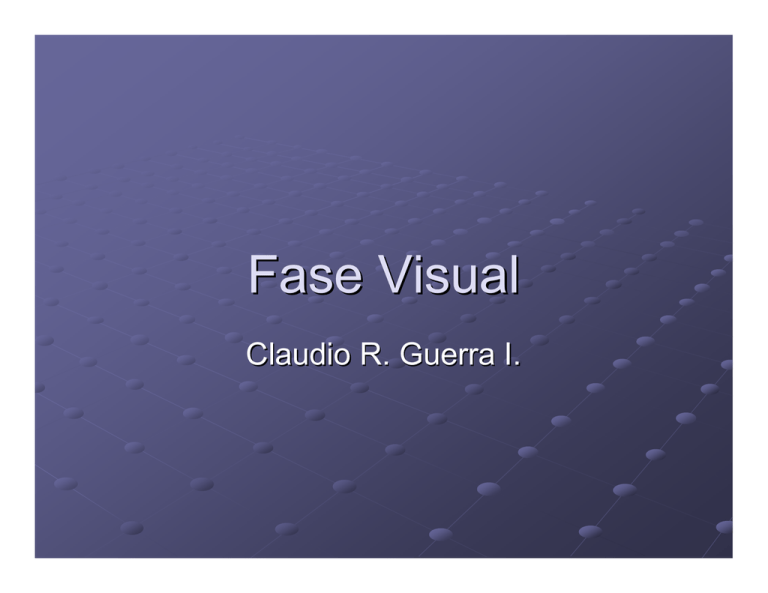 Fase Visual - Trekkingchile