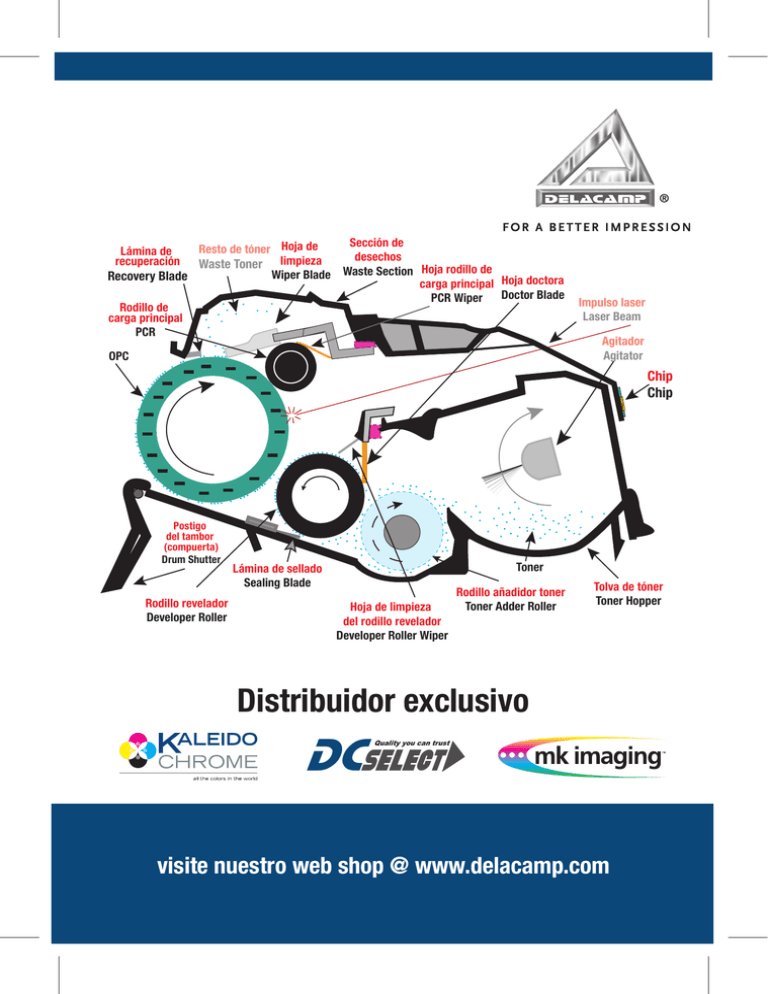 Distribuidor exclusivo