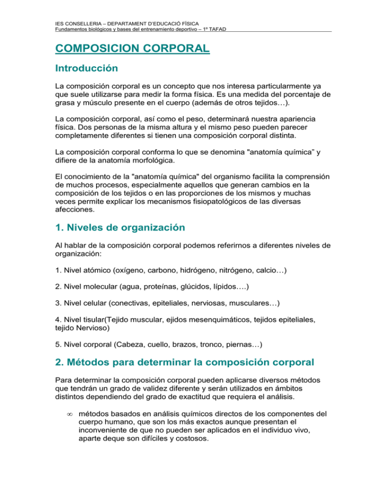 composicion corporal