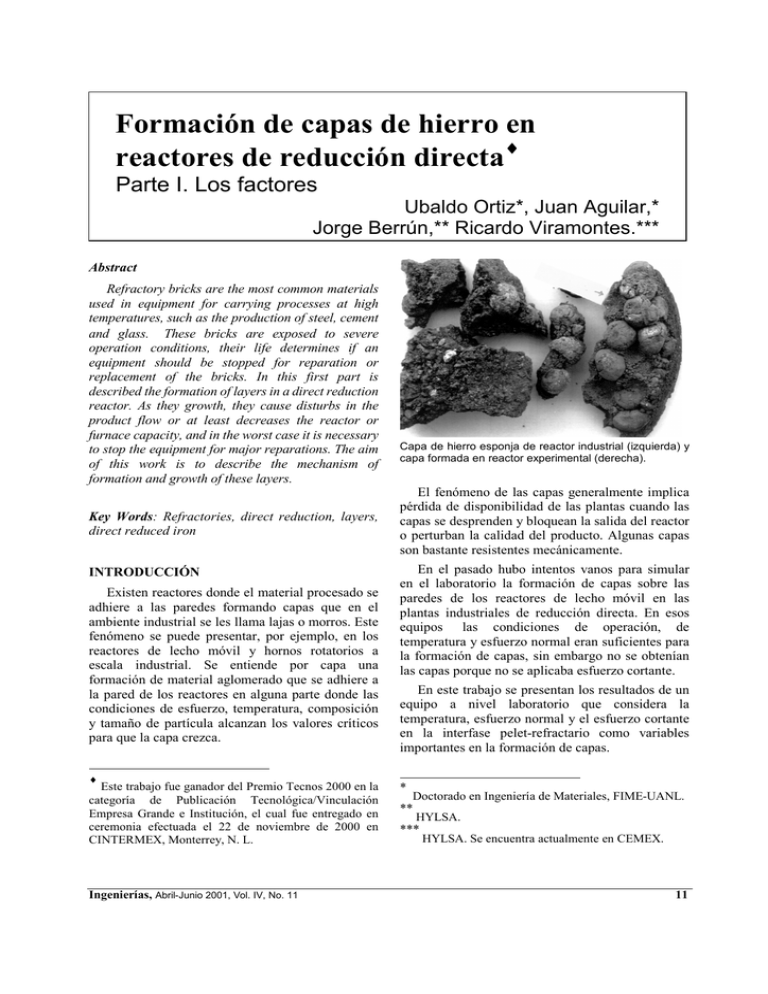 Formación de capas de hierro en reactores de reducción directa