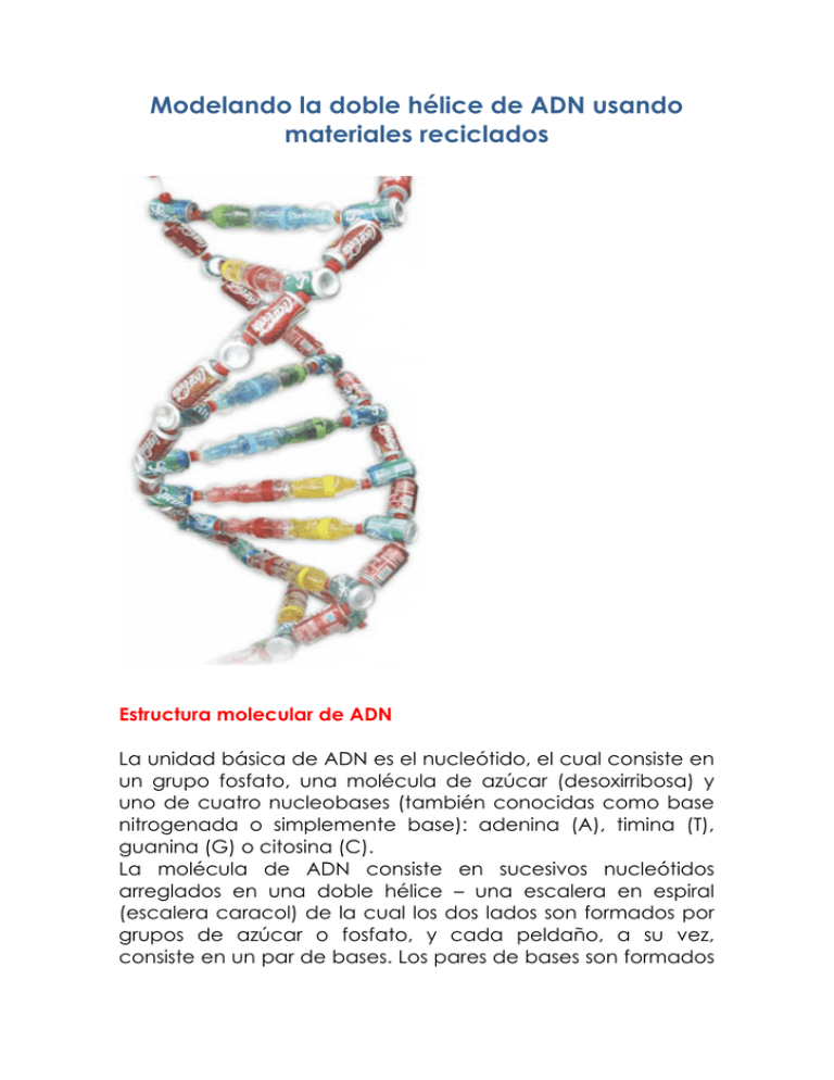 Modelando la doble hélice de ADN usando