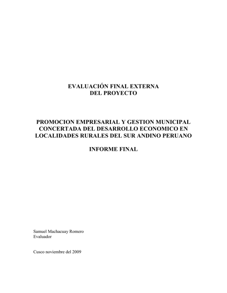 EVALUACIÓN FINAL EXTERNA DEL PROYECTO PROMOCION