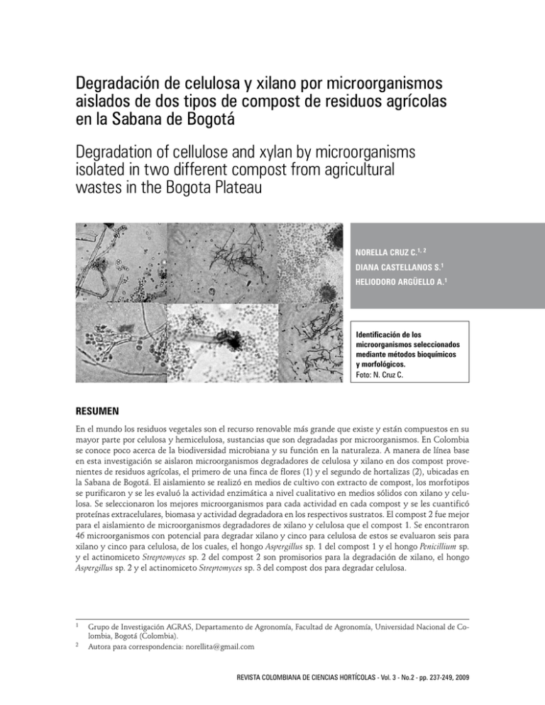 Degradación de celulosa y xilano por microorganismos aislados de