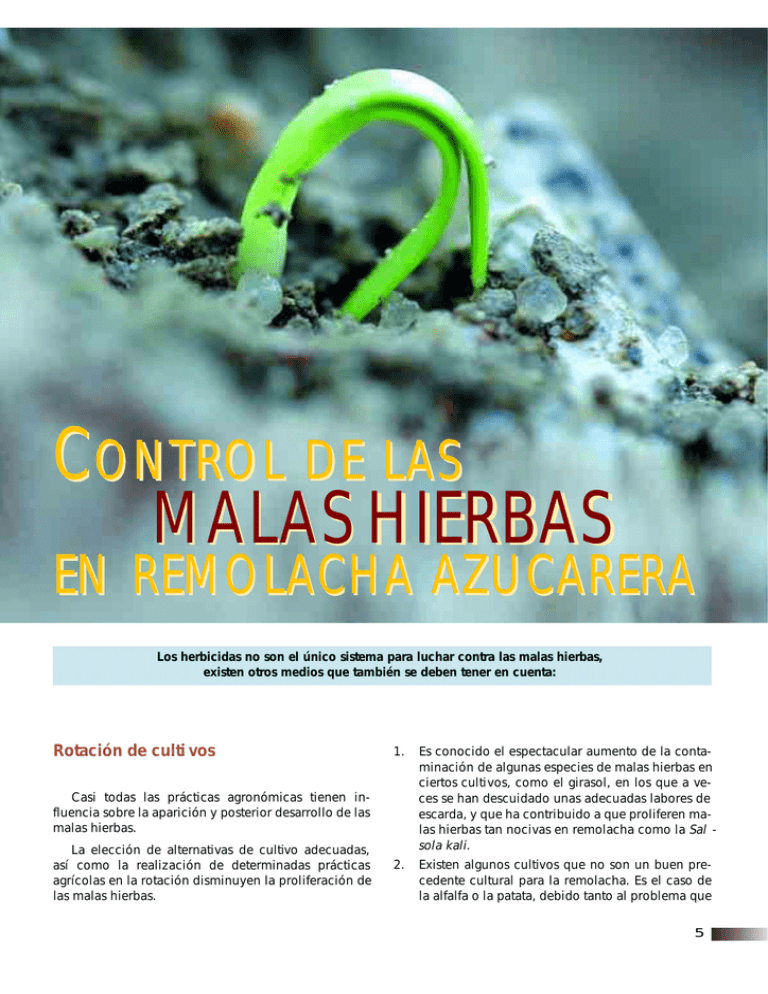 MALAS HIERBAS MALAS HIERBAS
