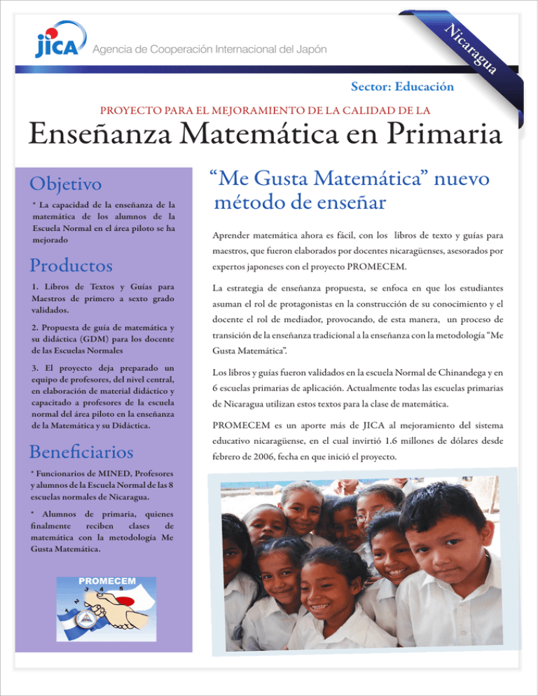 Enseñanza Matemática en Primaria