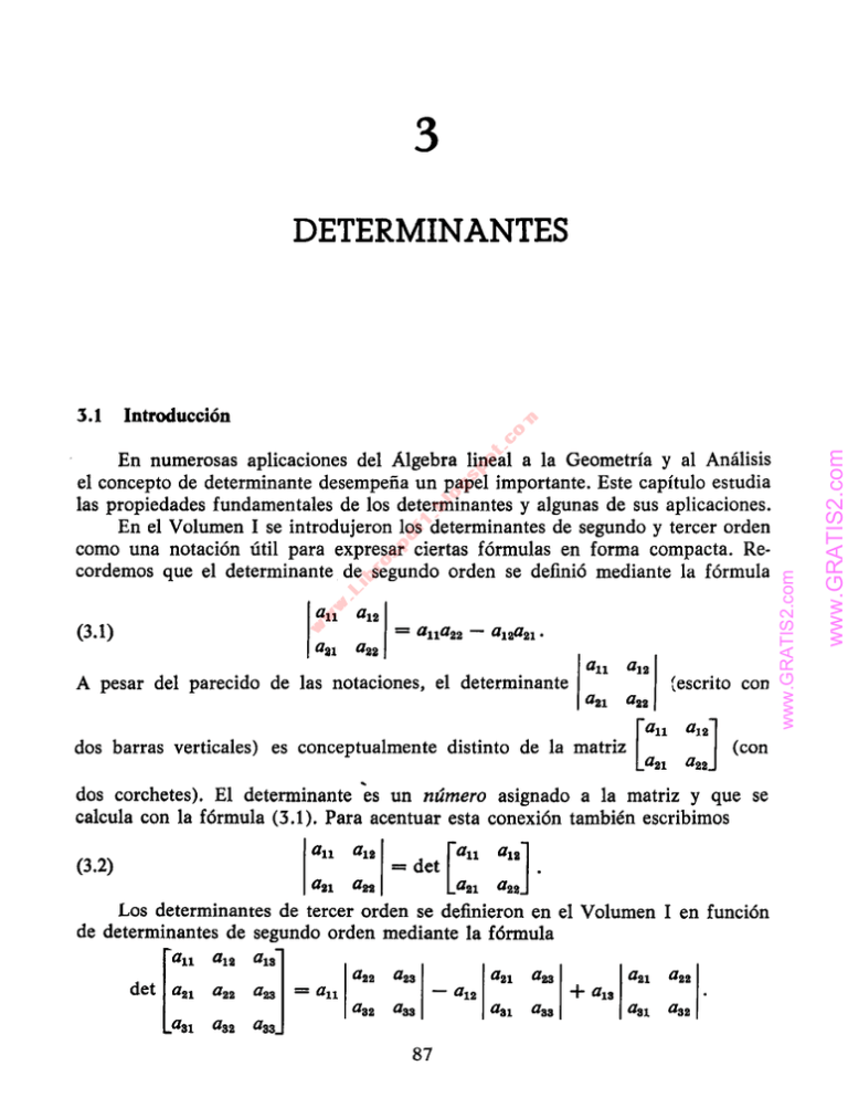 determinantes