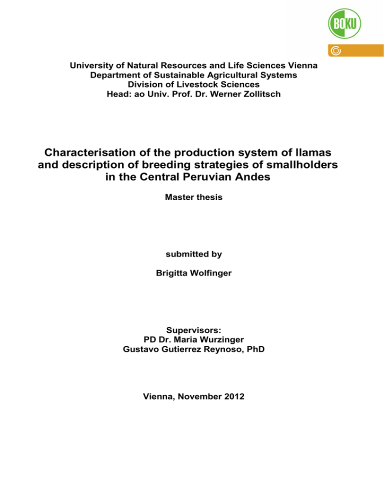 Characterisation of the production system of llamas and