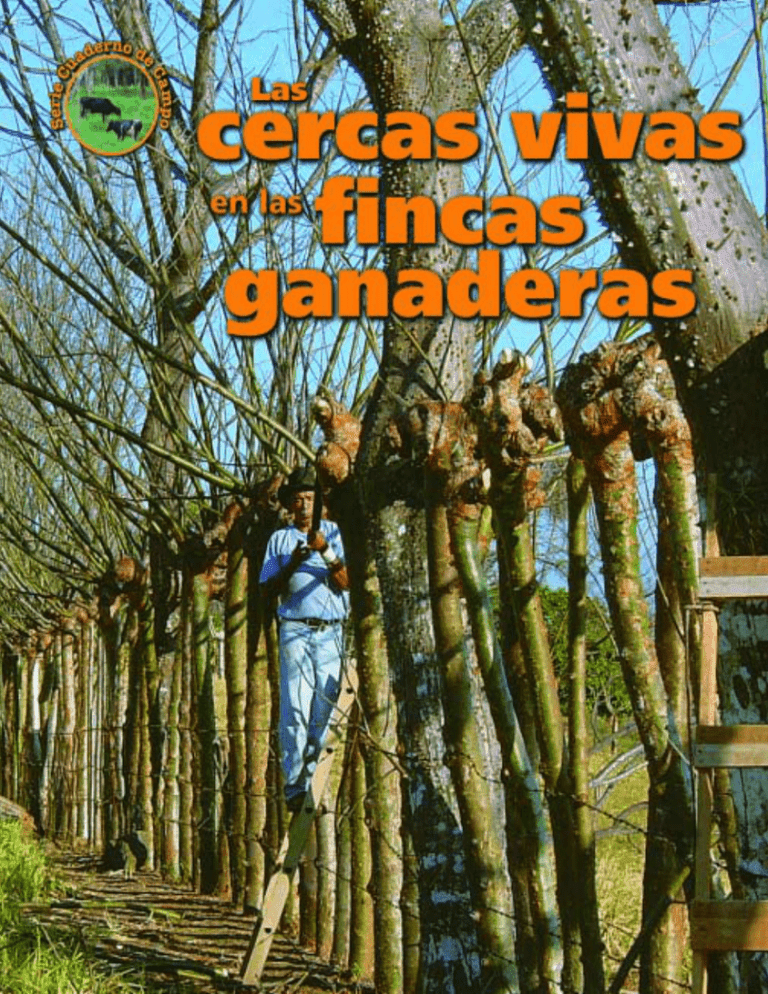 cercas vivas.qxd - Produccion animal