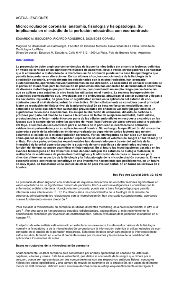 Microcirculación coronaria