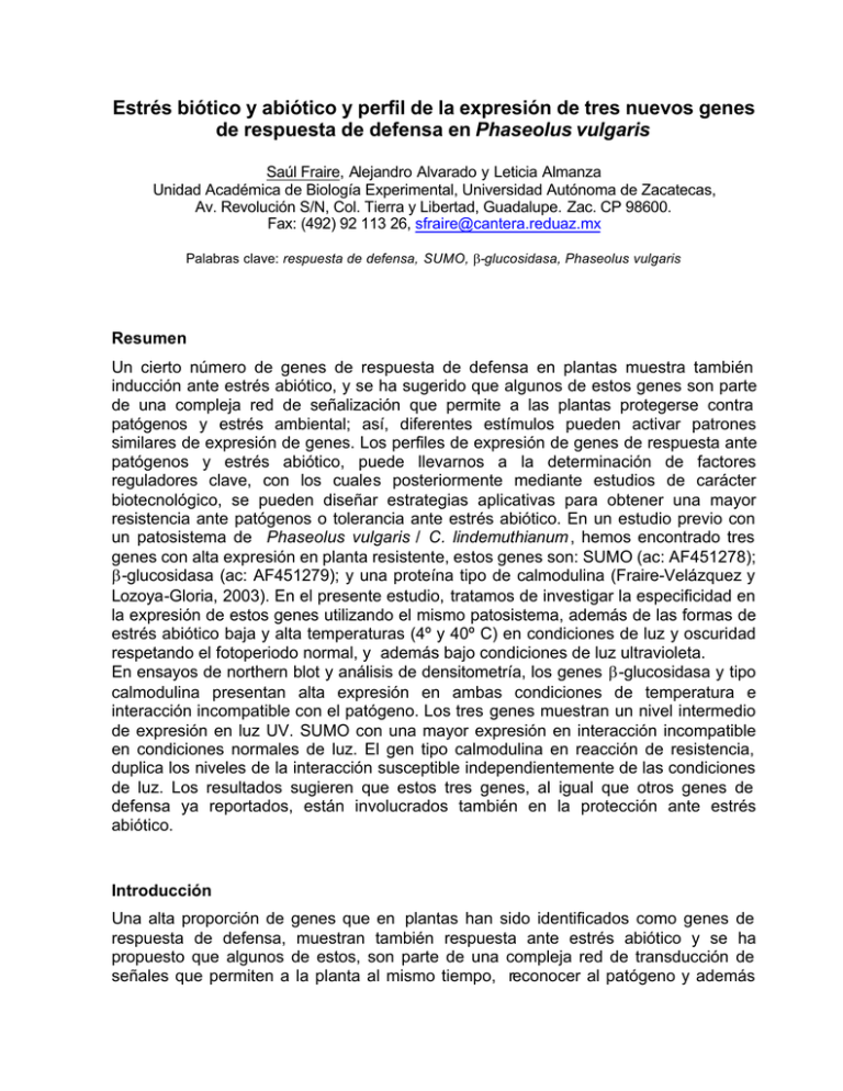 Estrés biótico y abiótico en Phaseolus vulgaris