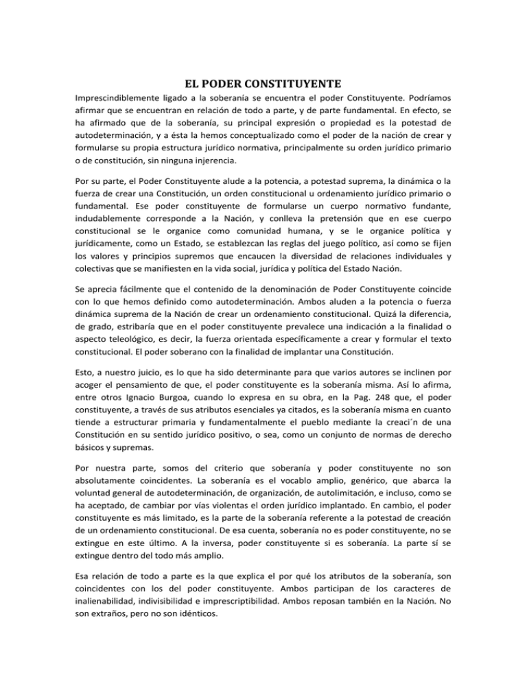 13 el poder constituyente