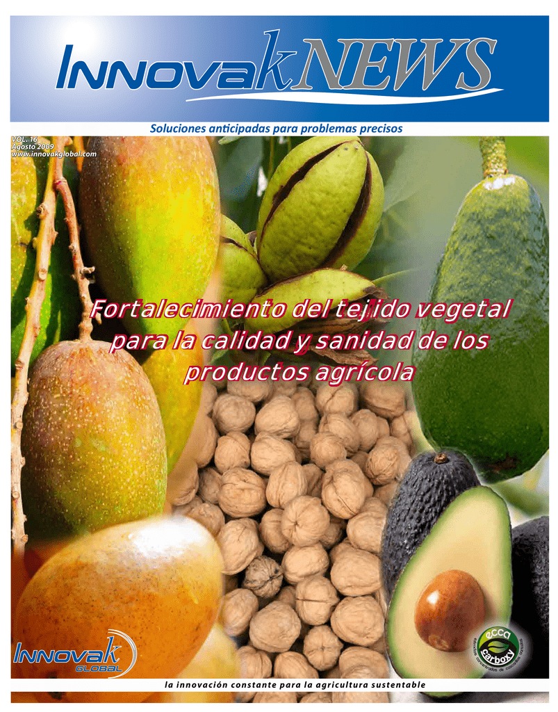 Agosto - Innovak Global