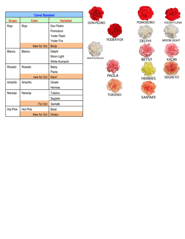 Clavel Standard Grupo Color Variedad Rojo Rojo Don Pedro
