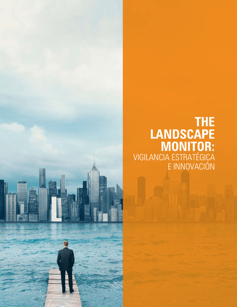 THe lAnDSCAPe moniToR