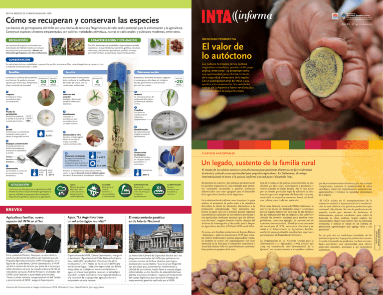 El valor de lo autóctono