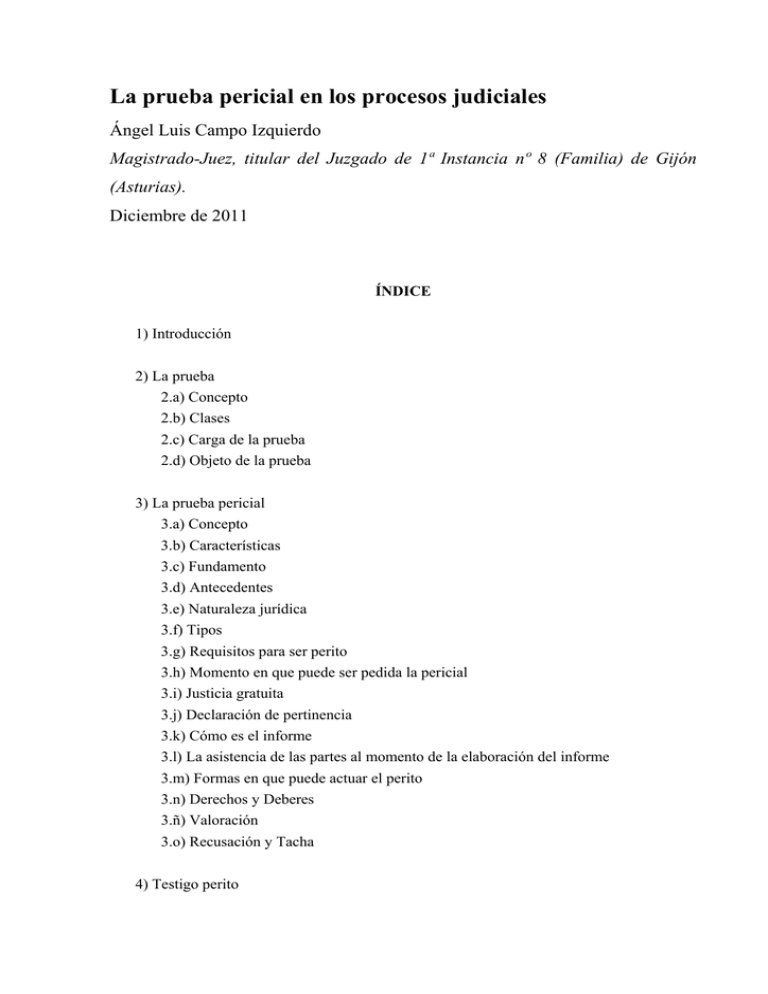 La prueba pericial en los procesos judiciales