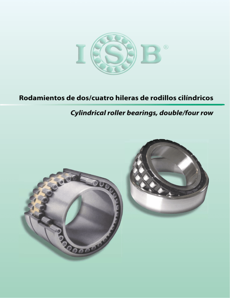 De 2/4 hileras de rodillos cilíndricos