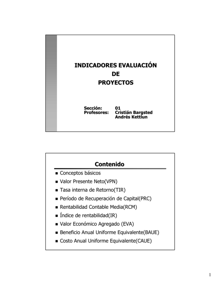 INDICADORES EVALUACIÓN DE PROYECTOS Contenido