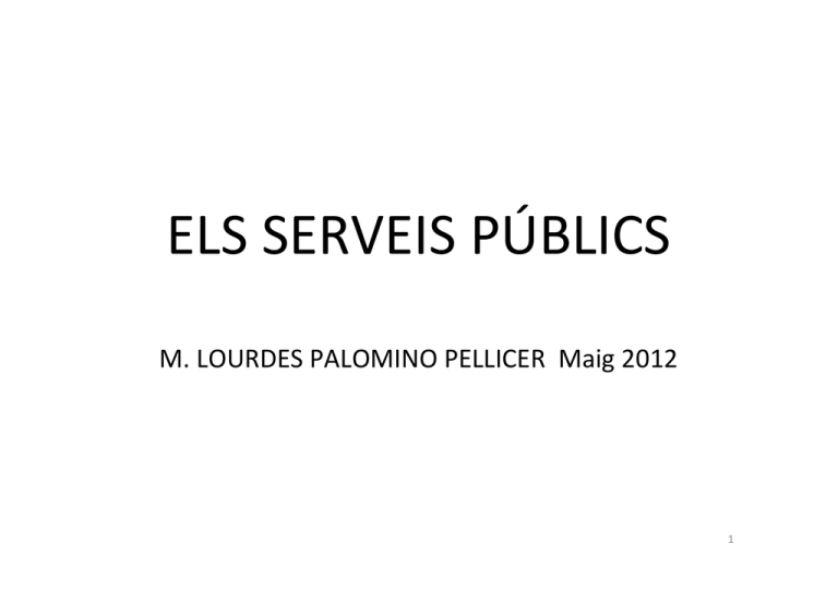 ELS SERVEIS PÚBLICS