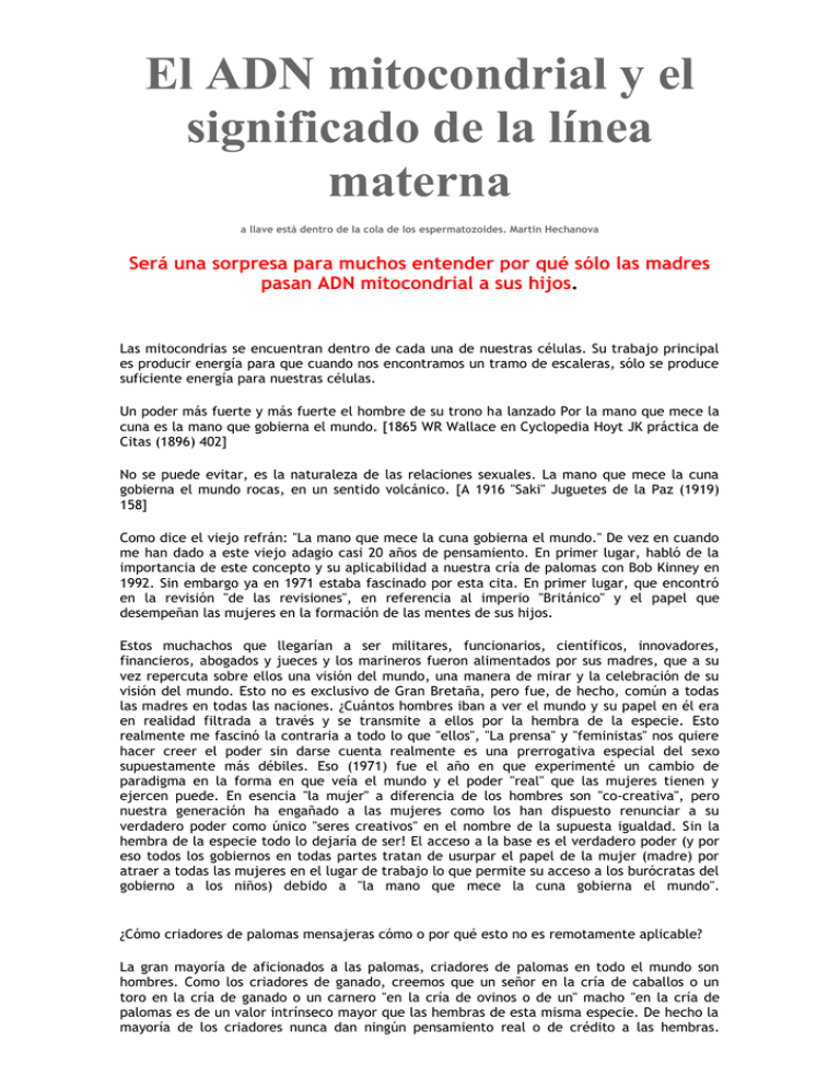 El ADN mitocondrial y el significado de la línea materna