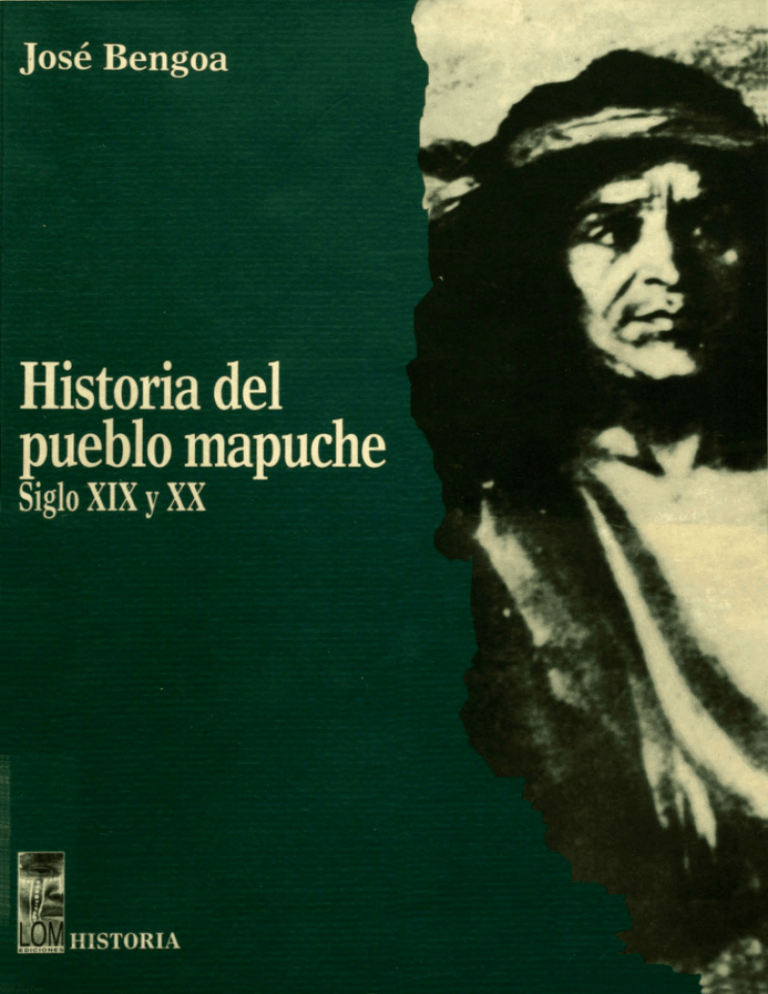 Historia del pueblo mapuche