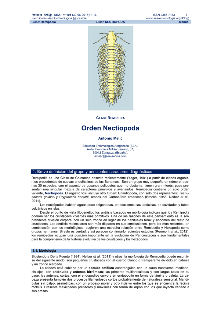 Orden Nectiopoda - Sociedad Entomológica Aragonesa