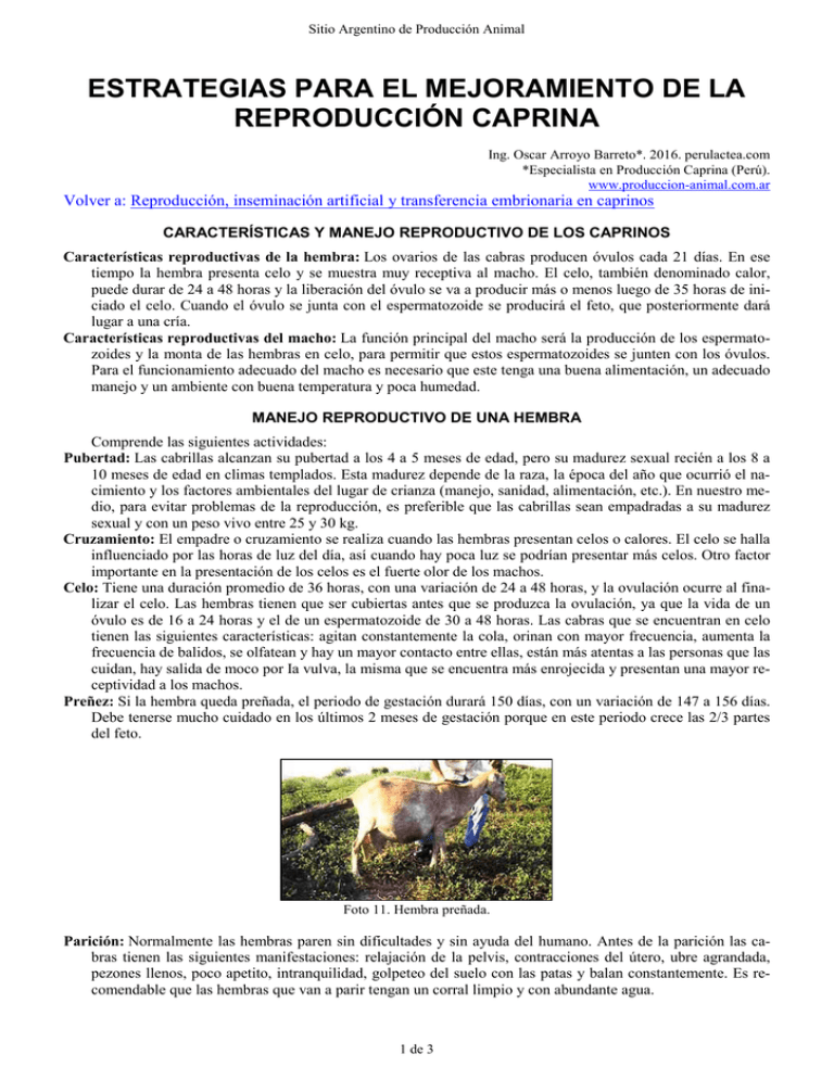 estrategias para el mejoramiento de la reproducción caprina