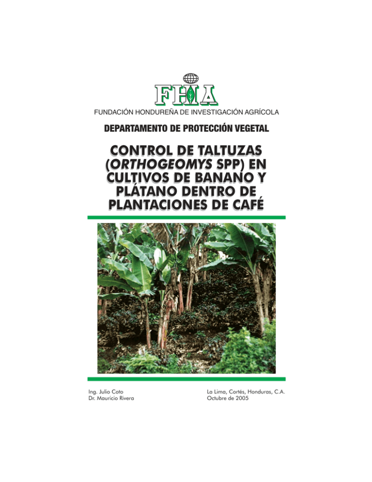 Control de Taltuza en Banano y Plátano