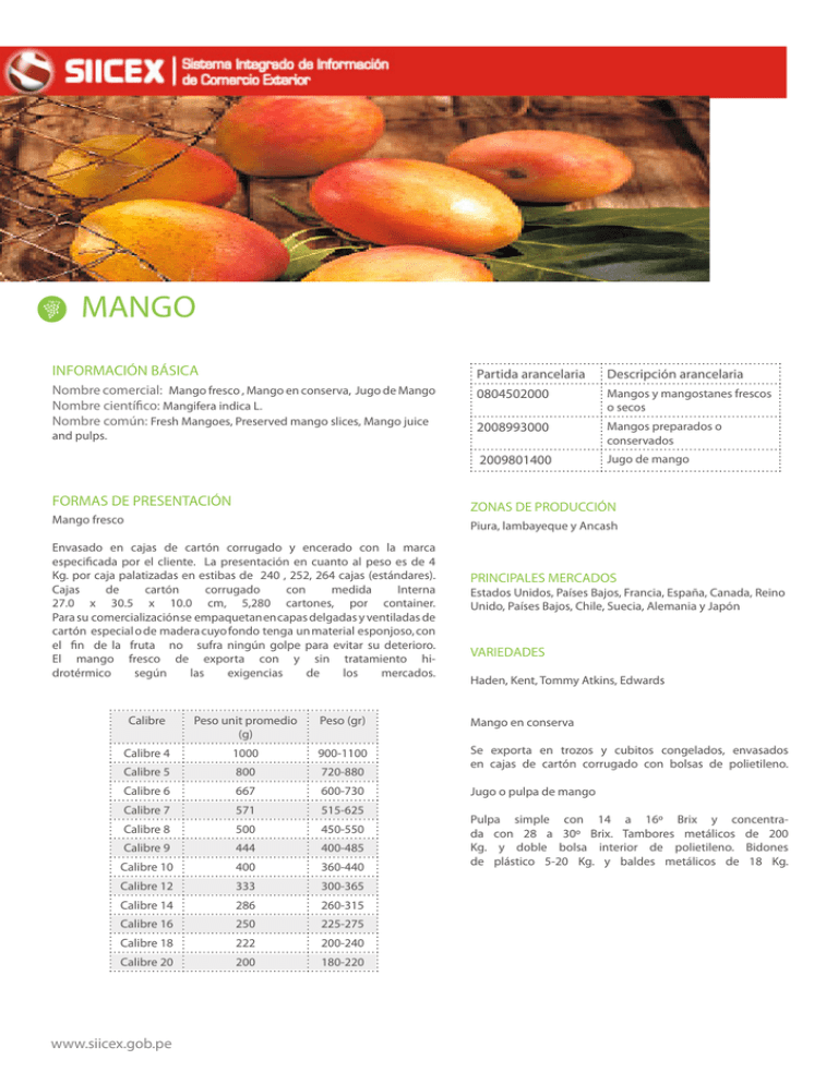 INFORMACIÓN BÁSICA FORMAS DE PRESENTACIÓN www.siicex