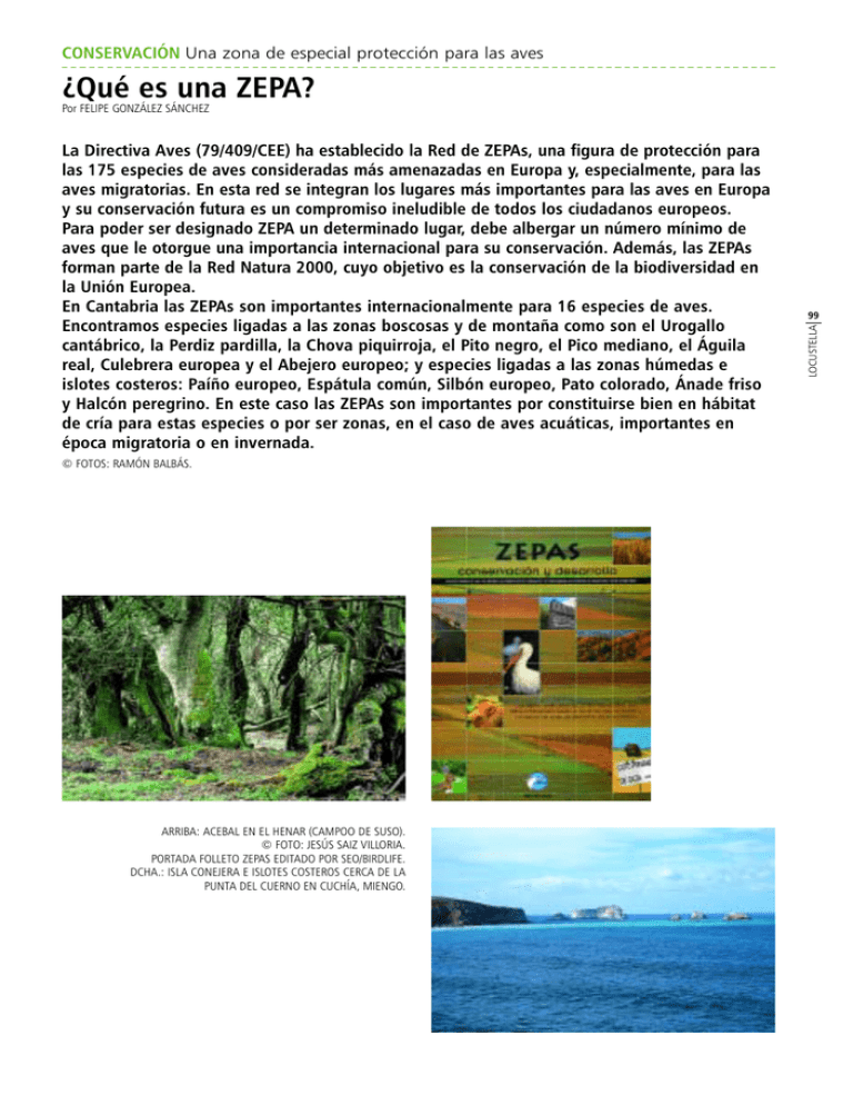 ¿Qué es una ZEPA? Una Zona de Especial Protección para las Aves